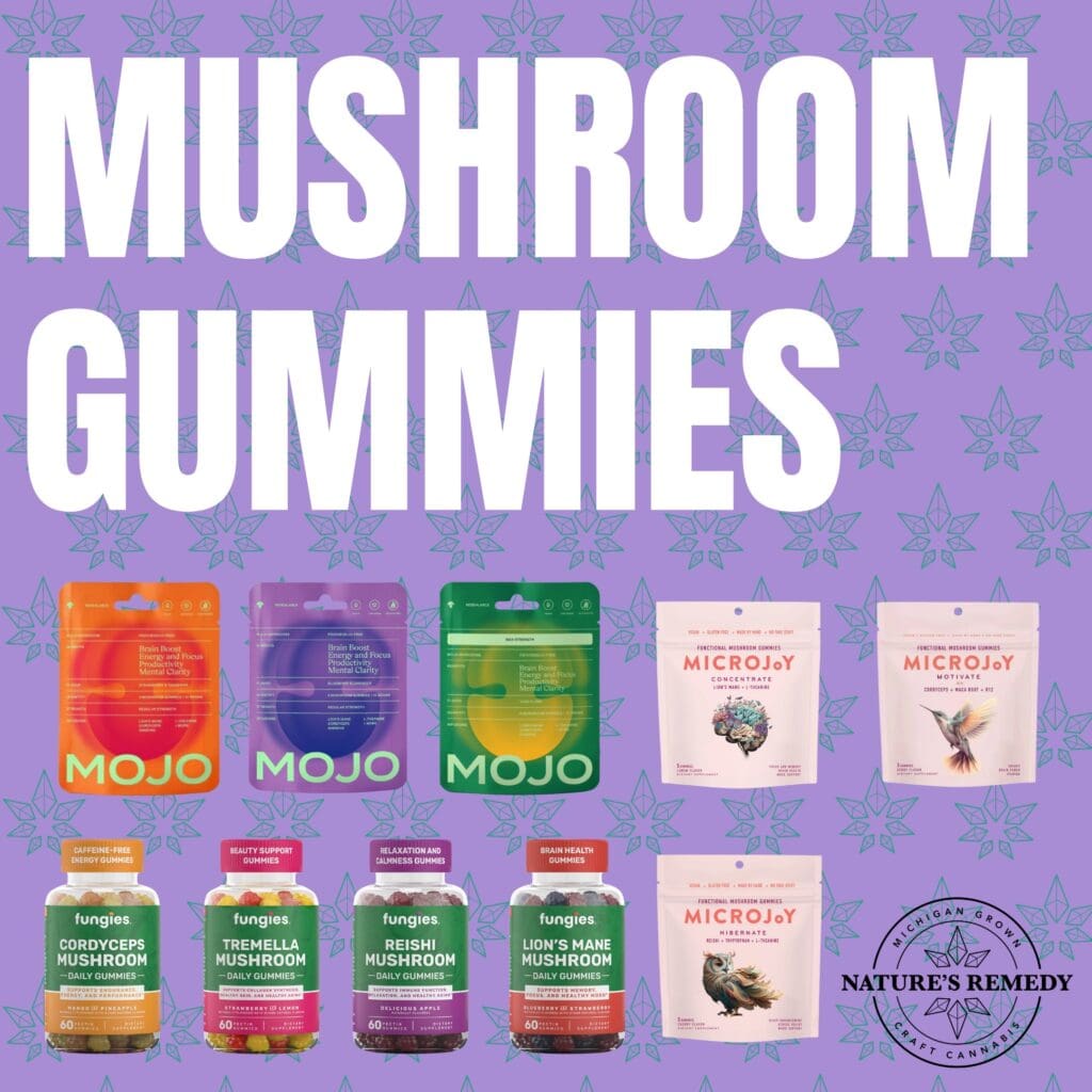 Mushroom Guide - Nature's Remedy Ferndale
