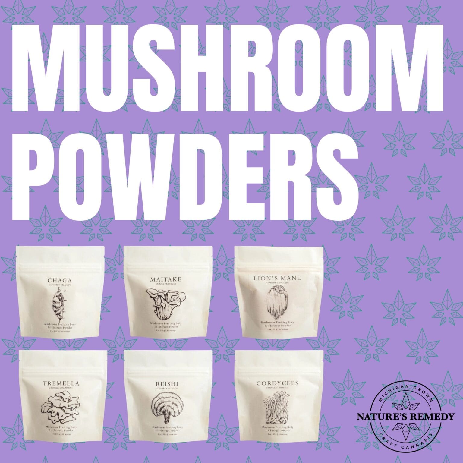 Functional Mushroom Products - Nature's Remedy Ferndale