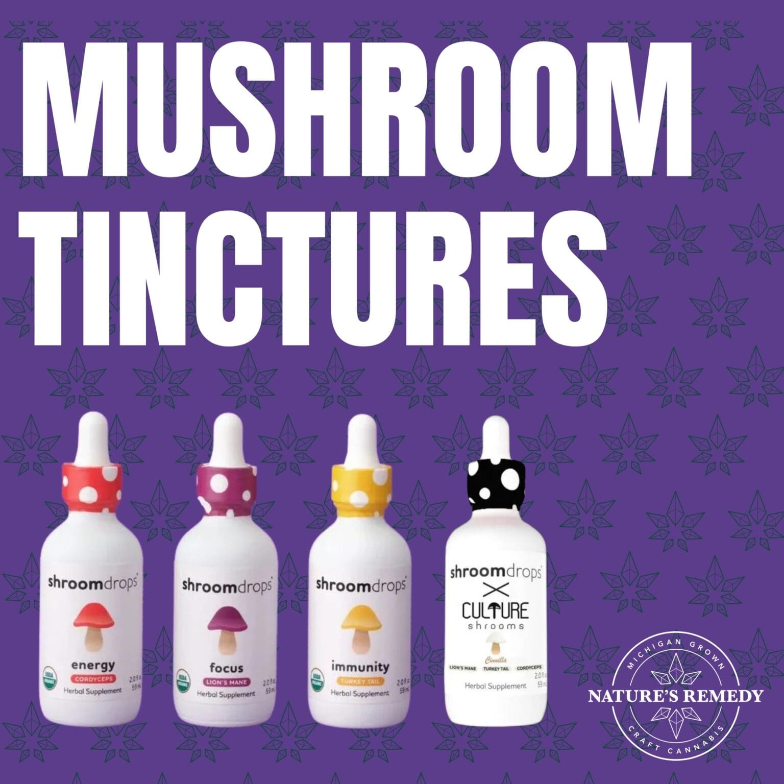 Explore The Science Of Cannabis & Mushrooms | Nature’s Remedy Learn Hub